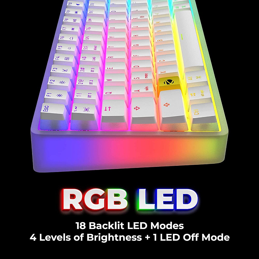 Zebronics Zeb-Max Ninja 200 RGB Mechanical Keyboard Best Price in India
