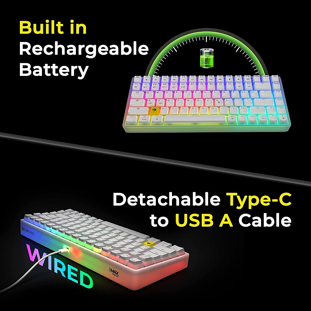 Zebronics Zeb-Max Ninja 200 RGB Mechanical Keyboard Best Price in India