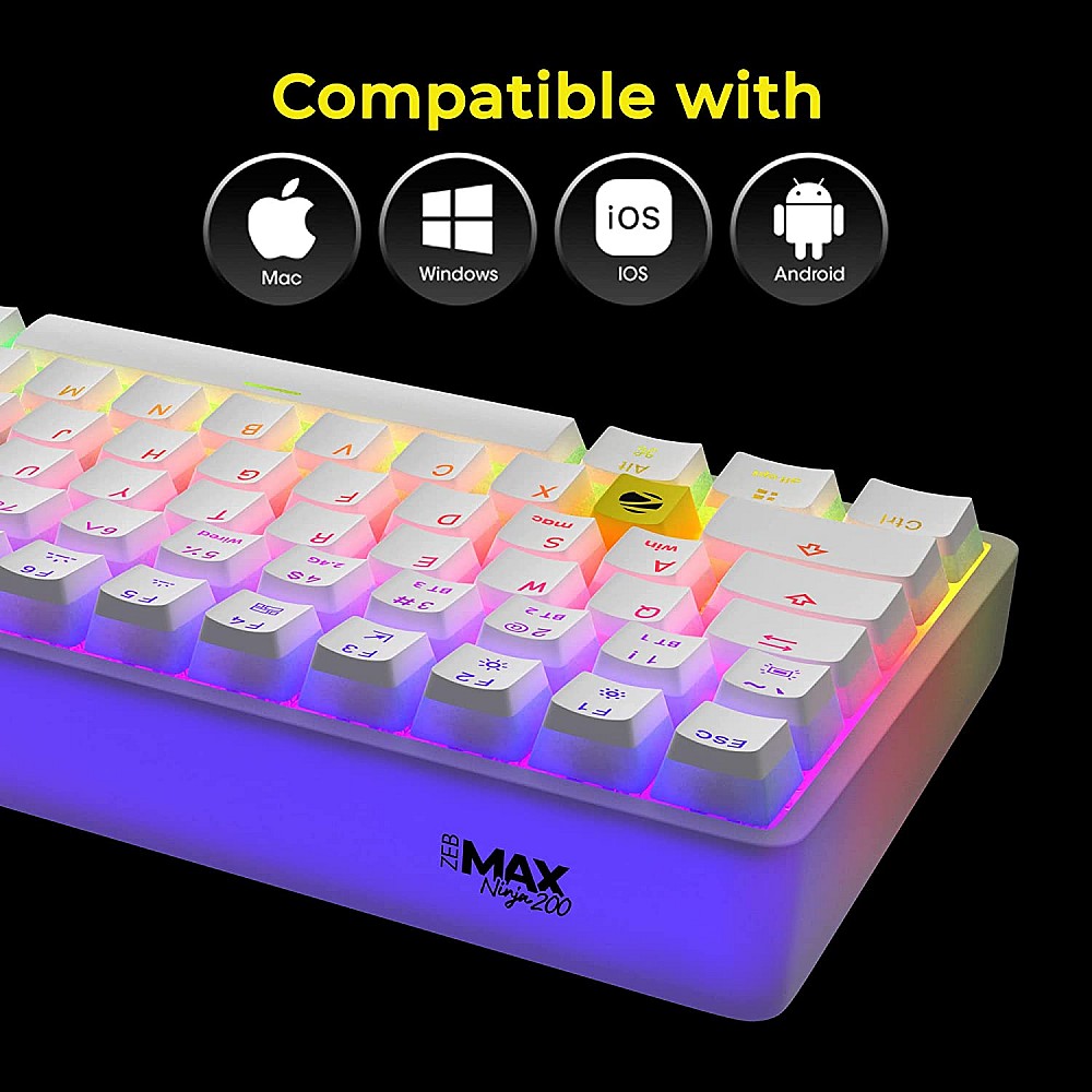 Zebronics Zeb-Max Ninja 200 RGB Mechanical Keyboard Best Price in India