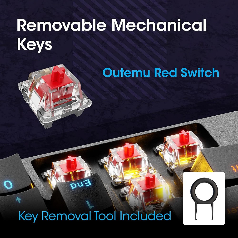 Zebronics Zeb-Nitro Pro Keyboard Best Price in India on Thevaluestore.in