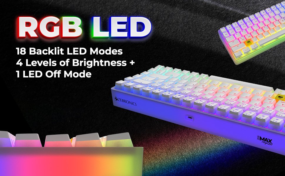 Zebronics Zeb-Max Ninja 200 RGB Mechanical Keyboard Best Price in India